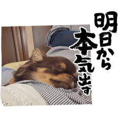 har_20250526185933 – LINE貼圖 | LINE STORE