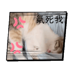 Migi** – LINE stickers | LINE STORE