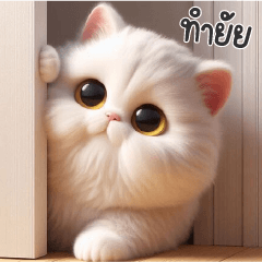 White Fluffy Chubby cat – LINE stickers | LINE STORE