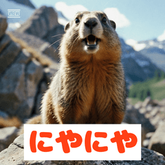 Everyday Marmot Stickers – LINE stickers | LINE STORE