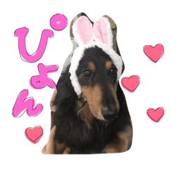 Shu chan! – Stickers LINE | LINE STORE