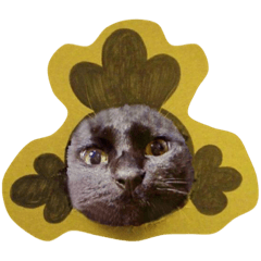 coban the cat - Stiker LINE | LINE STORE