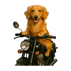 kuru_20250531194612 - Stiker LINE | LINE STORE