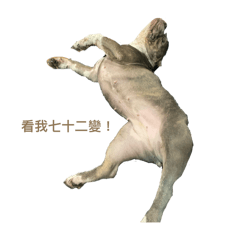 Xssss - LINE スタンプ | LINE STORE