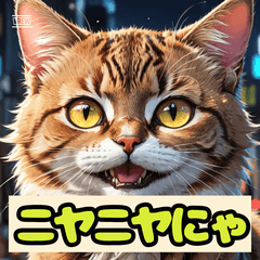 Curious Cat Club – LINE貼圖 | LINE STORE