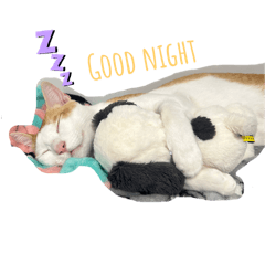 mumu_20250604234644 – LINE stickers | LINE STORE