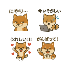 Cute & Chill Shiba Inu Stickers – สติกเกอร์ LINE | LINE STORE