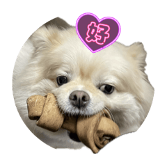 Ching_20250609161225 – LINE stickers | LINE STORE