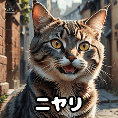Moody Cats: 40 Funny Stickers – LINE 스티커 | LINE STORE