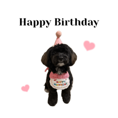 unichan_20250608173243 – LINE stickers | LINE STORE