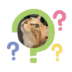 PP_20250611161540 – LINE stickers | LINE STORE