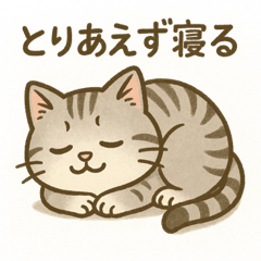 cat momo Stickers – LINE stickers | LINE STORE