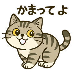Cat momo Stickers Vol.2 – LINE stickers | LINE STORE