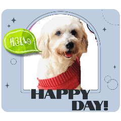Hello Happy Day Bebe - LINE スタンプ | LINE STORE