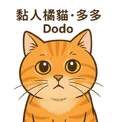 Clingy Orange Cat Dodo – LINE stickers | LINE STORE