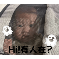 Chen00_20250617130920 – LINE stickers | LINE STORE