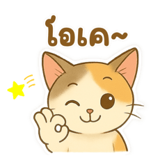 Cutie cat Boonrod – สติกเกอร์ LINE | LINE STORE