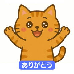 chatora cat Reo - LINE スタンプ | LINE STORE