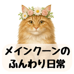 Fluffy Days with a Maine Coon – สติกเกอร์ LINE | LINE STORE