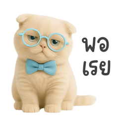 Cute Cream Folded Ear Cat – LINE stickers | LINE STORE