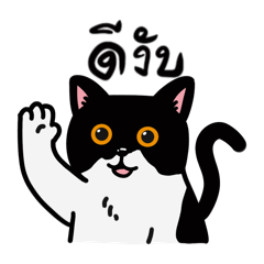 Buay the Cow-patterned Cat - LINE スタンプ | LINE STORE