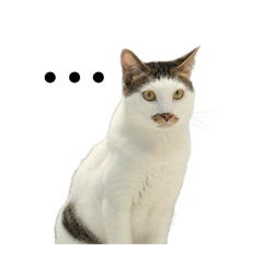 Roro & Kuro – LINE stickers | LINE STORE