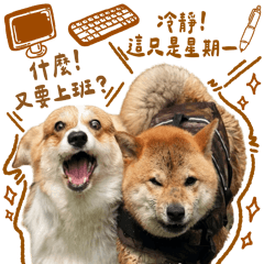 Everyday dogs stickers for all mood – LINE stickers | LINE STORE