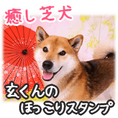 Gen the healing Shiba – สติกเกอร์ LINE | LINE STORE