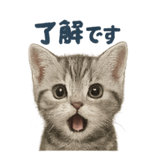 Emily Chu_20250811160009 – LINE stickers | LINE STORE