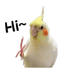 Feng-Feng_20250813122909 – LINE stickers | LINE STORE