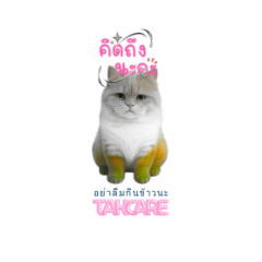 Cat BC – LINE stickers | LINE STORE