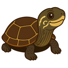 Chinemys reevesii – LINE stickers | LINE STORE