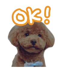 RORO.NEROLI_2025 – LINE stickers | LINE STORE