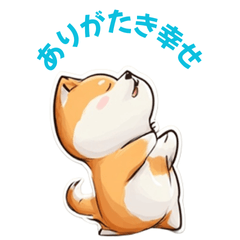 Relaxed Shiba Life | Yabe-LINE貼圖代購 | 台灣No.1，最便宜高效率的代購網