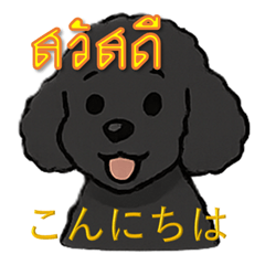 Cute black poodle with JP & TH text | Yabe-LINE貼圖代購 | 台灣No.1，最便宜高效率的代購網