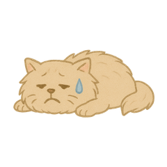 Cute Fluffy Cat Stickers: Love & Daily – LINE stickers | LINE STORE