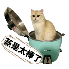 Vanessa_20250914091347 – LINE stickers | LINE STORE