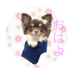 choco_moka – LINE stickers | LINE STORE