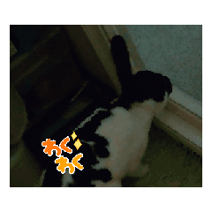coniglio_20250918202009 – LINE stickers | LINE STORE