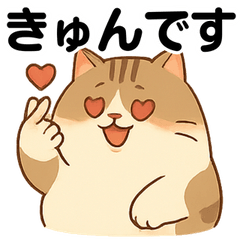 Trendy Chubby Cat Meme Stickers – LINE stickers | LINE STORE