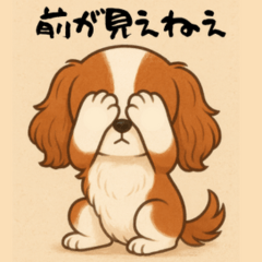 Cute Cavalier Expressions – LINE 스티커 | LINE STORE