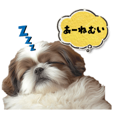 kumoko_20250926154802 – สติกเกอร์ LINE | LINE STORE