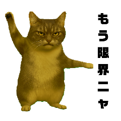 Maxed-Out Cat – LINE stickers | LINE STORE