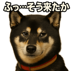Cool Shiba Quotes Stickers – LINE stickers | LINE STORE