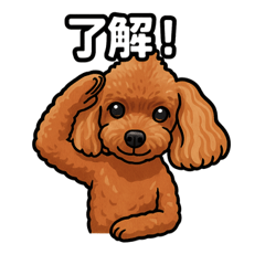 Mohawk Toy Poodle Boy .1 – LINE stickers | LINE STORE