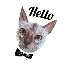 Wolfy Sullivan - Stiker LINE | LINE STORE