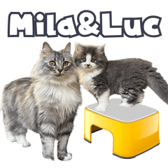 Stickers of Mila and Luc - Stiker LINE | LINE STORE