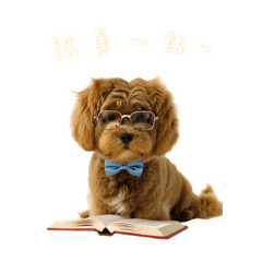 yenju_20251010172417 – LINE stickers | LINE STORE