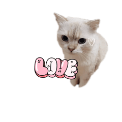 Fiona_20251014002511 – LINE stickers | LINE STORE
