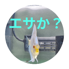 muchio_20251015125243 – LINE stickers | LINE STORE